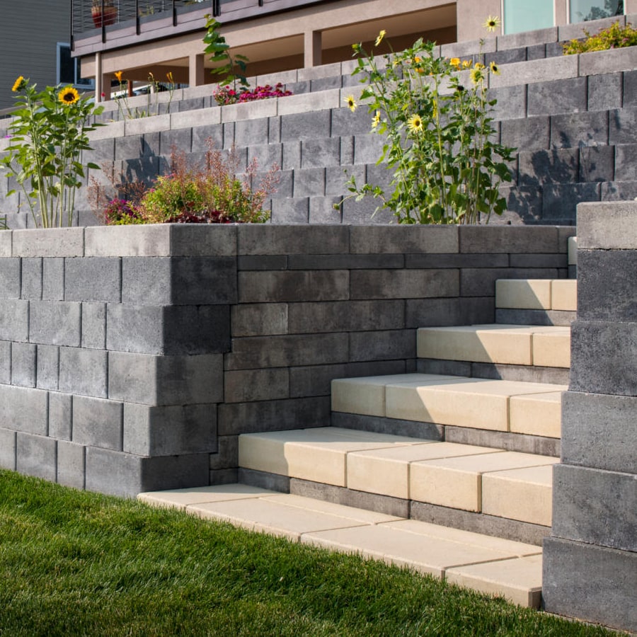 Tan France - Belgard